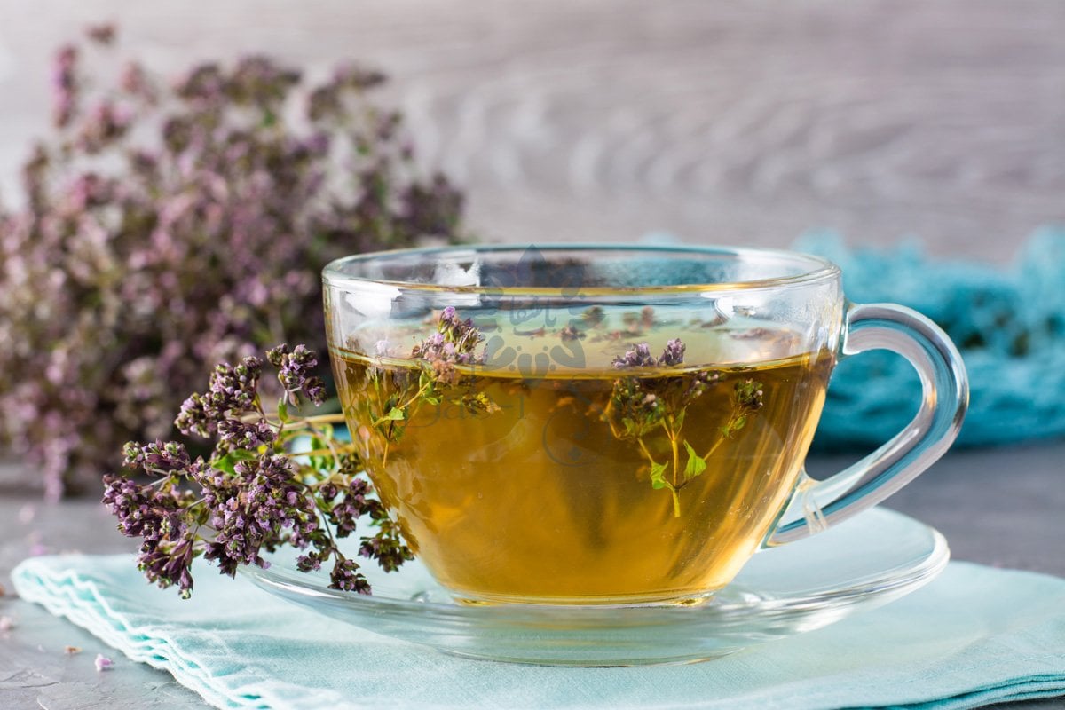 Bitkisel İlaçlar Hakkında Bilinmesi Gerekenler